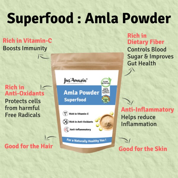 Jus Amazin Organic Amla Powder (500g) - JioMart