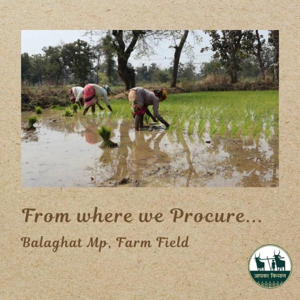 APKA KISAN |25 Kg |Kolam Rice |Lachkari Raw Rice |Non-sticky |Fluffy ...