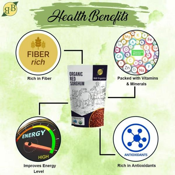 B&B Organics Red Sorghum (250 g) (Whole Grain) (Cholam | Red Cholam ...