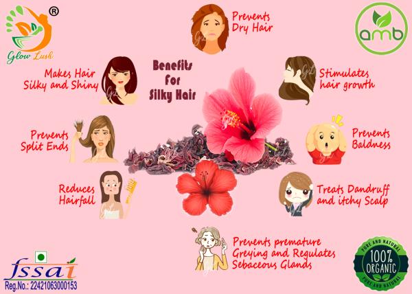 Glow Lush Organic Amla, Reetha, Shikakai, Bhringraj, Hibiscus & Neem ...