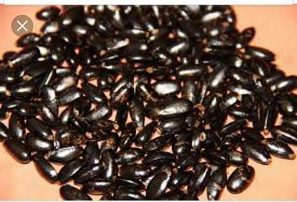 MGBN THE PATH FOR THE HEALTHIER LIFE WITH BEAUTY Seethaphal-Annona ...