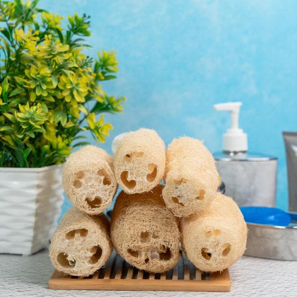 Organic B natural Organic Loofah | Body Scrubber | Luffa Set of 6 - JioMart