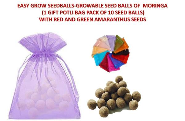 Mgbn The Path For The Healthier Life With Beauty Growable Seed Balls Of ...