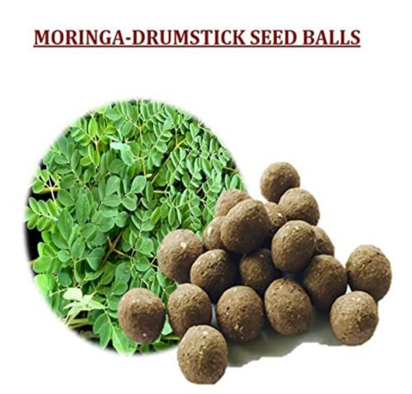 Mgbn The Path For The Healthier Life With Beauty Growable Seed Balls Of ...
