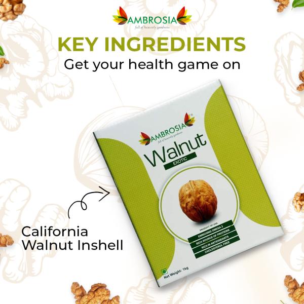 Ambrosia Walnut Inshell Exotic Extra Jumbo Size Akhrot 1Kg - JioMart