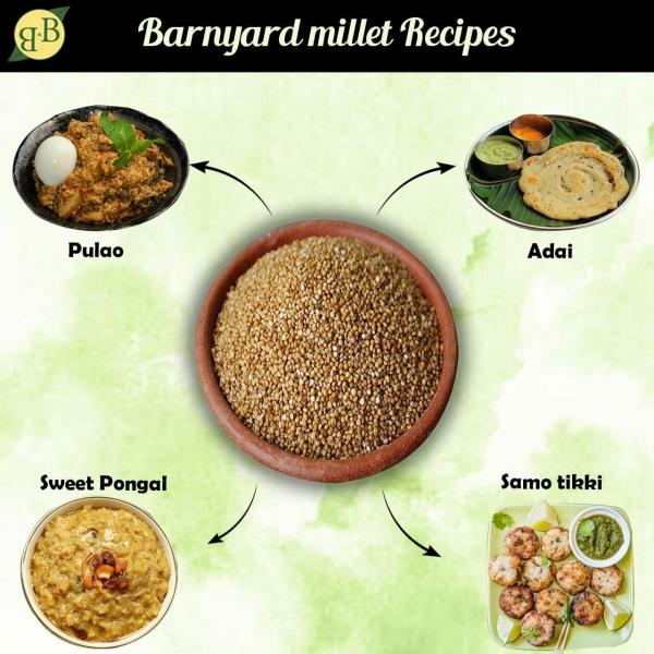 B&B Organics Barnyard Millet (10 kg) (Whole Grain) (Kuthiraivalli ...