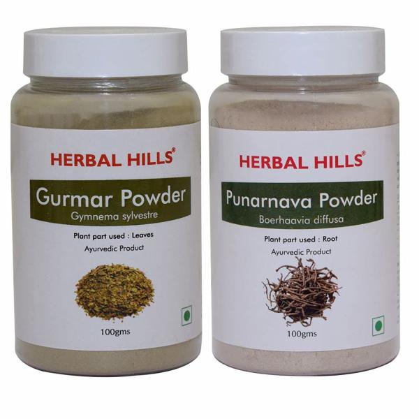 Herbal Hills Gurmar Powder and Punarnava Powder 100 gms each - JioMart