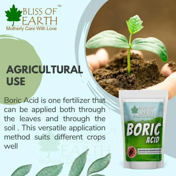 Bliss of Earth Boric Acid Powder Multipurpose kill Cockroach Ants ...