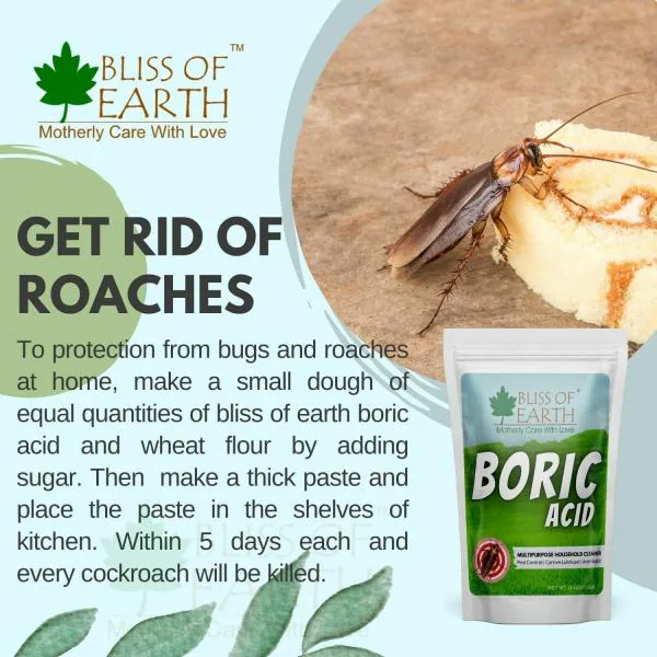 Bliss of Earth Boric Acid Powder Multipurpose kill Cockroach Ants ...
