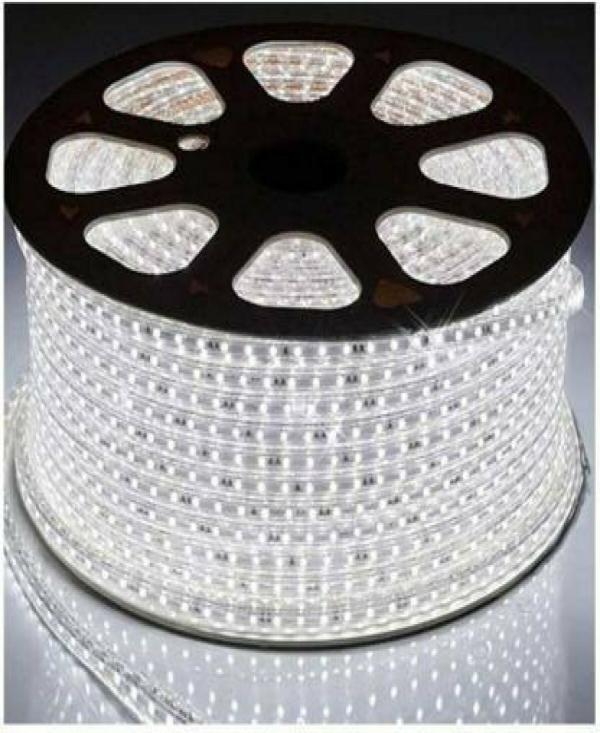 Astern White Rice Lights 600 LED/4.98m - JioMart