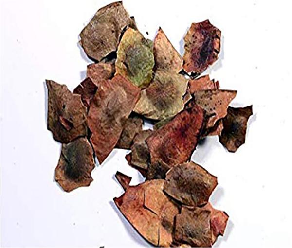 MGBN THE PATH FOR THE HEALTHIER LIFE WITH BEAUTY Dalbergia Latifolia ...