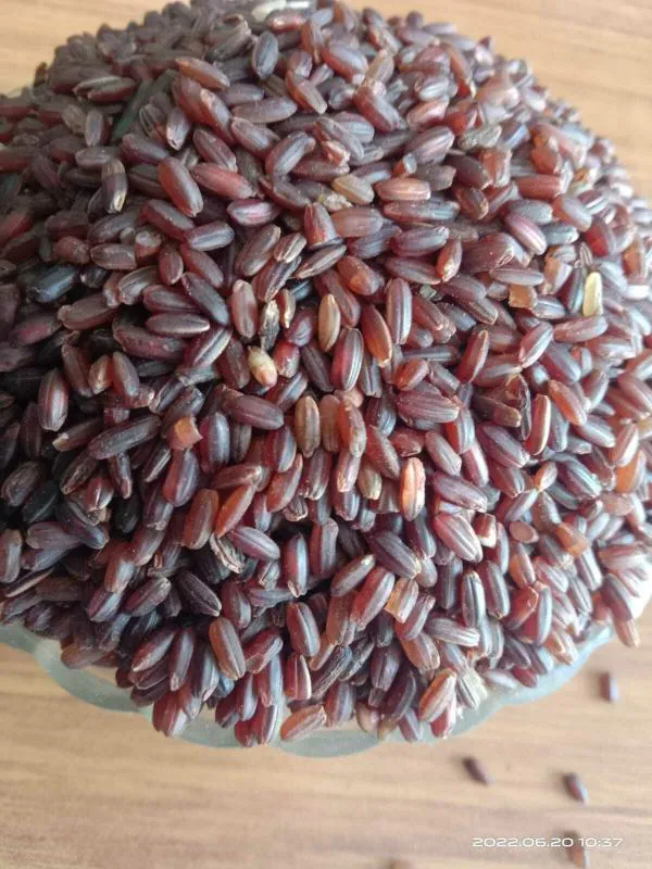 Uzhavan Unavu - Organic Traditional Kudavazhai Rice (Common name as Red ...