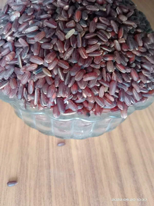 Uzhavan Unavu - Organic Traditional Kudavazhai Rice (Common name as Red ...