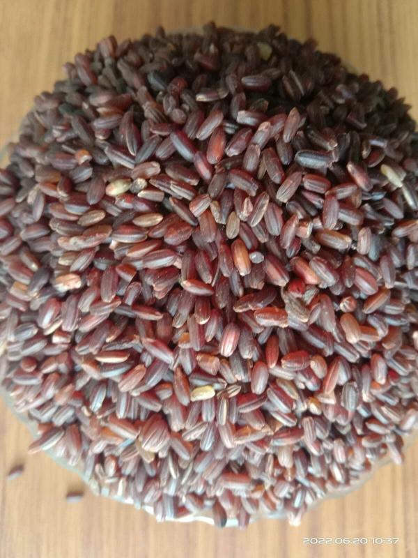 Uzhavan Unavu - Organic Traditional Kudavazhai Rice (Common name as Red ...