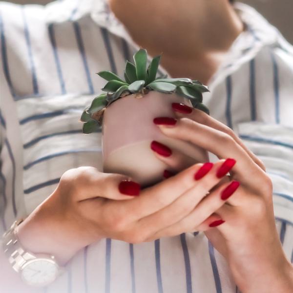 OLA Multicolor 9ml X 12 Pieces Nail Polish Set. Matte Colour Long ...