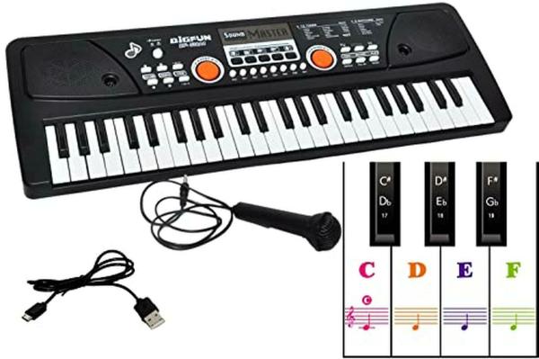 DOMENICO 530PS Electronic Keyboard Piano, USB Adapter,Microphone and ...
