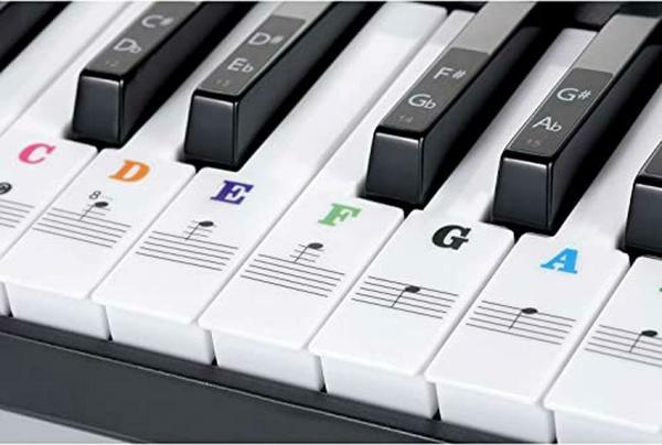 DOMENICO 530PS Electronic Keyboard Piano, USB Adapter,Microphone and ...