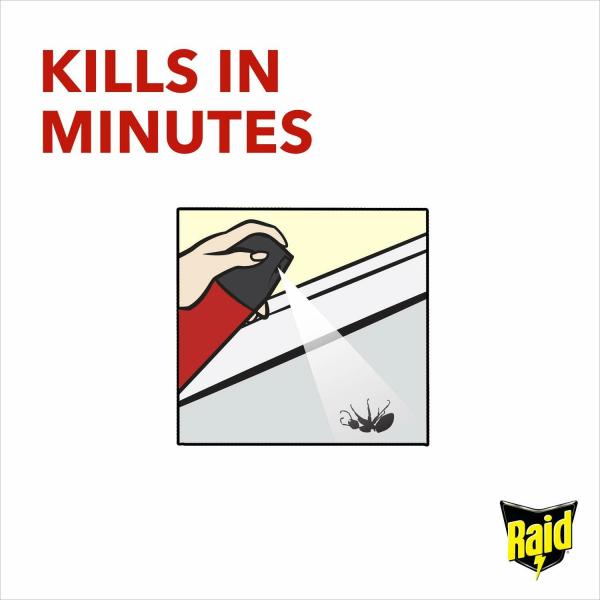 Raid Ant and Cockroach Killer Spray, 300 ml - JioMart