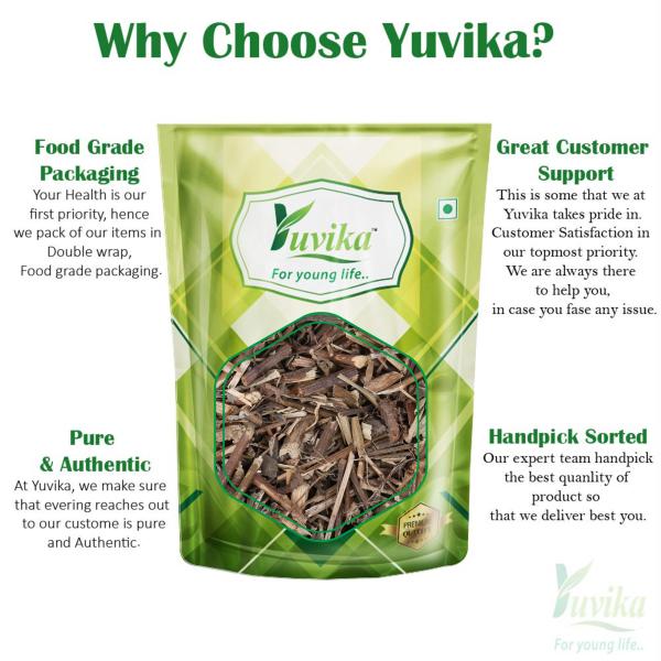 YUVIKA Apamarg Panchang - Latjeera - Latjira - Chirchita (400 Grams ...