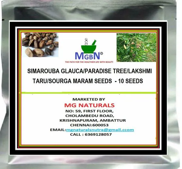 MGBN THE PATH FOR THE HEALTHIER LIFE WITH BEAUTY Simarouba Glauca ...