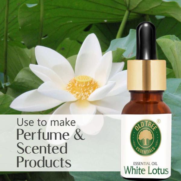 Old Tree White Lotus Essential Oil 15 ml - JioMart