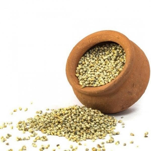 GM NATURAL Bajra Rajasthan Special produced from Dryland Farming ...