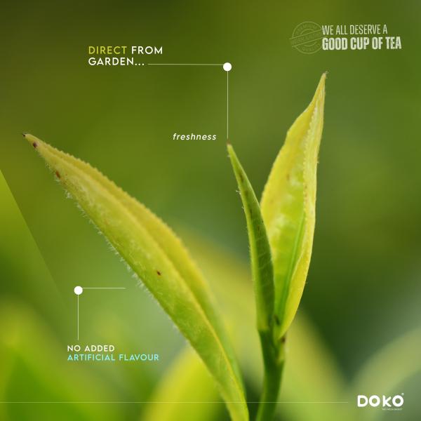 Doko Exotic Darjeeling Black Tea| Full Leaf Authentic Black Tea| Golden Cup Color| Natural ...