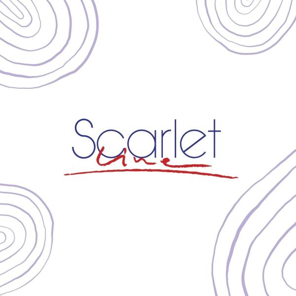 Scarlet Line Professional Matte Medium Round Hair Brush with Handle for ...