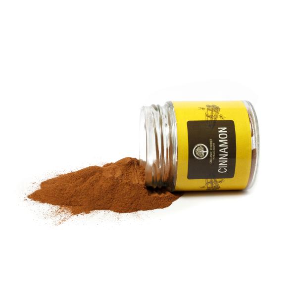 Organic Forest Cinnamon / Daalchini Powder 100 g - JioMart