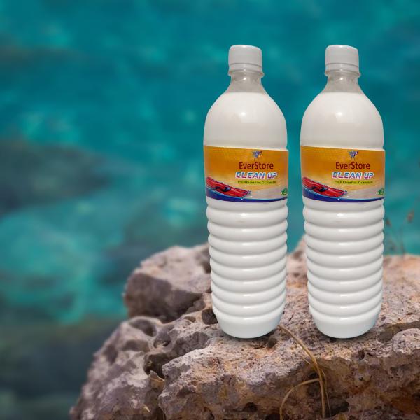 EverStore White Phenyl All Purpose Cleaner Its Kill All Types Of Germs ...