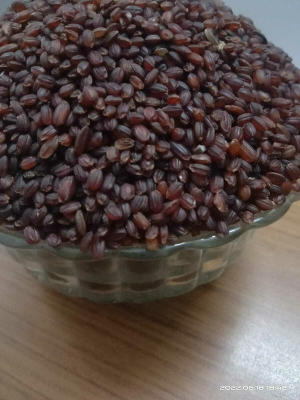 Uzhavan Unavu - Organic Traditional Kothamalli Samba (Common name as ...