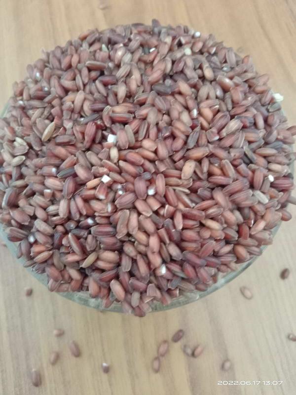 Uzhavan Unavu - Organic Traditional Soorakkuruvai Rice - 1 Kg - JioMart