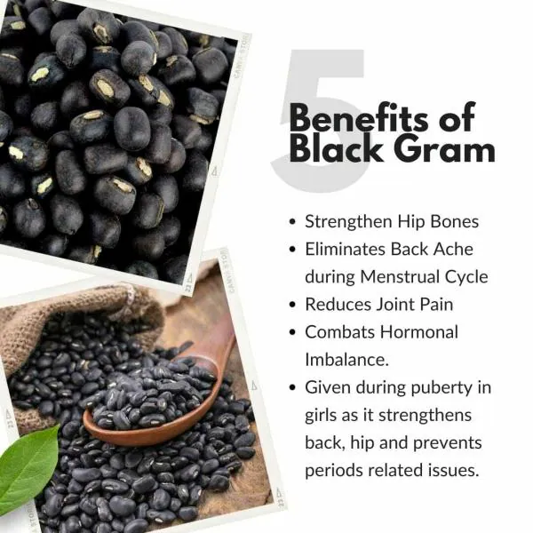 Black Gram