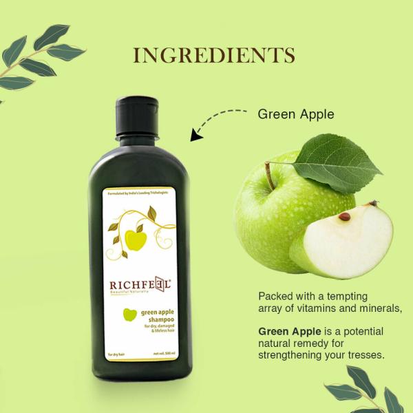 Richfeel Green Apple Shampoo 500 Ml Pack of 2 - JioMart