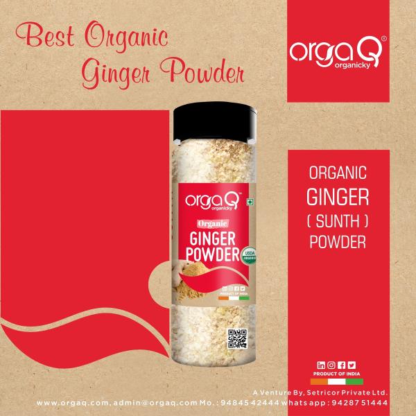Orgaq Organicky Organic Dry Ginger Sunth Adrakh Powder - 150 Grams ...