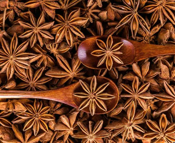 Star Anise/ Badiyan / Chakri Phool / Garam Masala Spices Whole ...