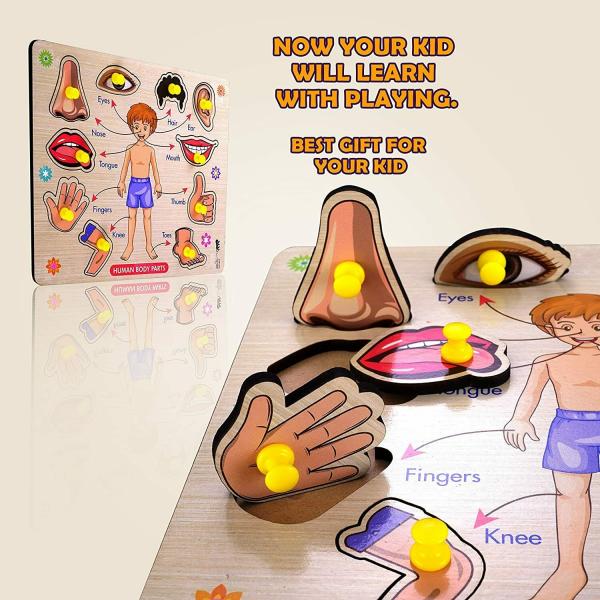 GrestBig Wooden ABCD and Human Body Parts Puzzle with Knobs ...