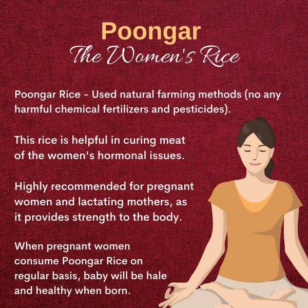 HayyFoods Poongar Rice health mix - Superfood for Pregnant women and ...