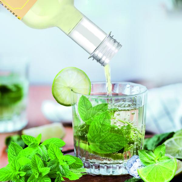 Dhampur Green Fruitales Mint Lemonade Mocktail Syrup 300 ml, Pack of 3 ...