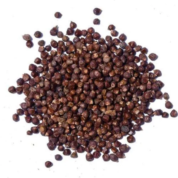 YUVIKA Tomar Seeds - Nepali Dhania - Tomar Beej - Beej Tomru (100 Grams ...