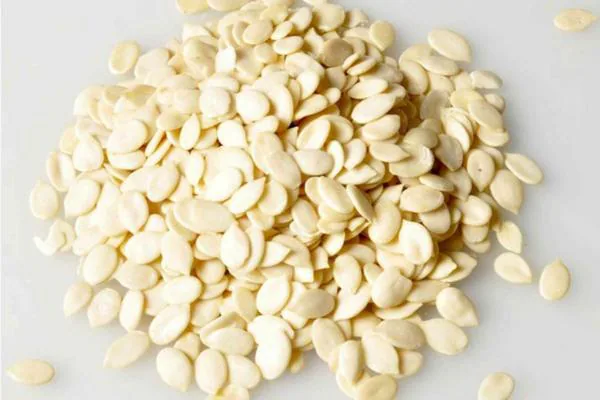 Marwar Watermelon Seeds (Magaj| Melon Kernels| Tarboj Beej Magaj ...