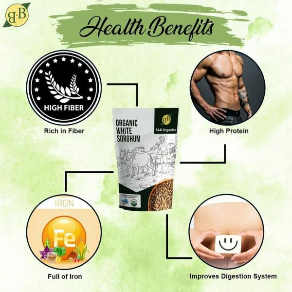 B&B Organics White Sorghum (1000 g) (Whole Grain) (Cholam | Vella solam ...