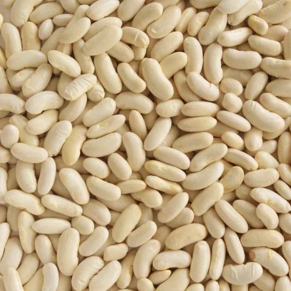 GiTAGGED Uttarakhand Munsiyari Rajma, White Kidney Beans -500gm - JioMart