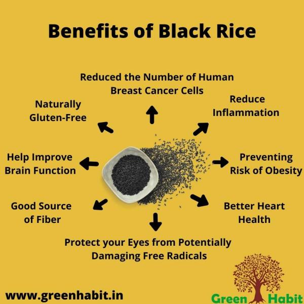 Green Habit Wild Black Rice a.k.a Forbidden Rice 1.5kg - JioMart