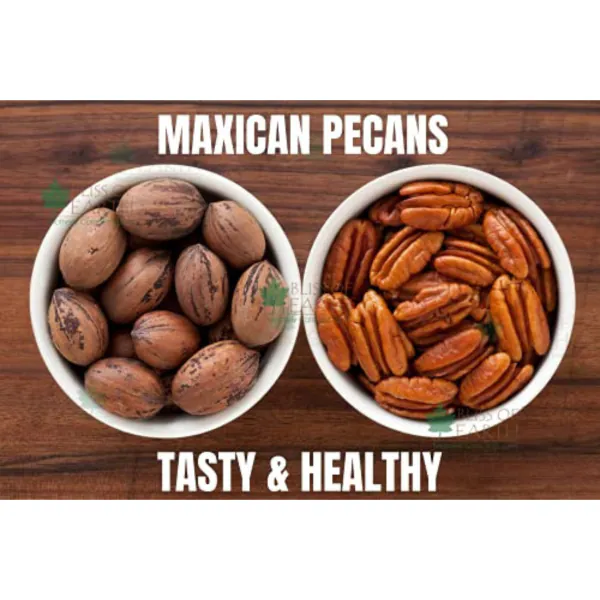 Bliss Of Earth Mexican Pecan Nuts 200 gm, Raw & Dehulled Pecan Halves ...