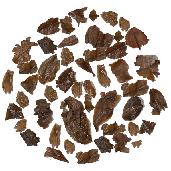 Okayti Darjeeling Second Flush Excel Tea (Pack of 1) - 100 Gm | 100% ...