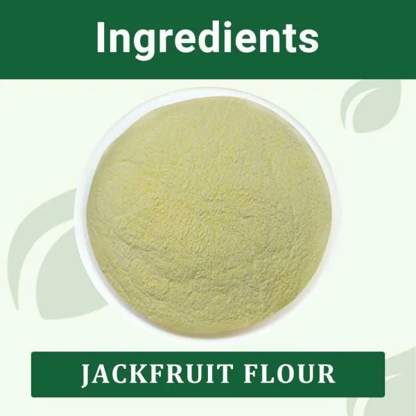 Jackfruit flour - 500g (Pack of 2) - JioMart
