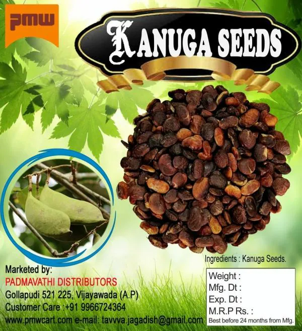 Pmw - Kanuga Seeds - Honge - Karanja - Pungai - Millettia Pinnata ...