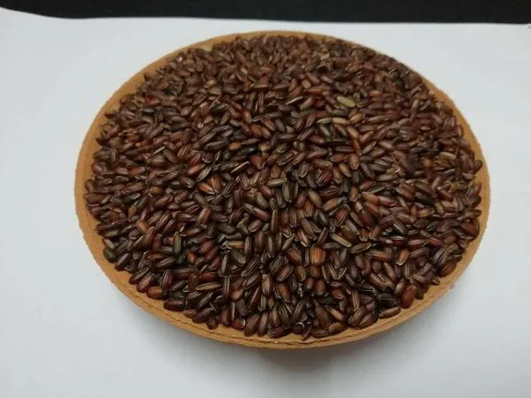 Ogranny Farm Products - Kattuyanam Rice Combo - Natural & Organic Rice ...