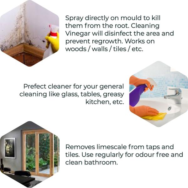 TIDY FOX Cleaning Vinegar / Synthetic / White / Made In India / 5 Ltr ...